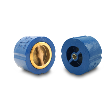 Flomatic 2438 888 8" Silent Wafer Check Valve – Metal-to-Metal Seat ...